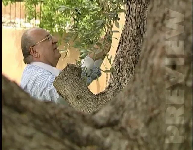 Adel Malek - TV Promotion on Vimeo