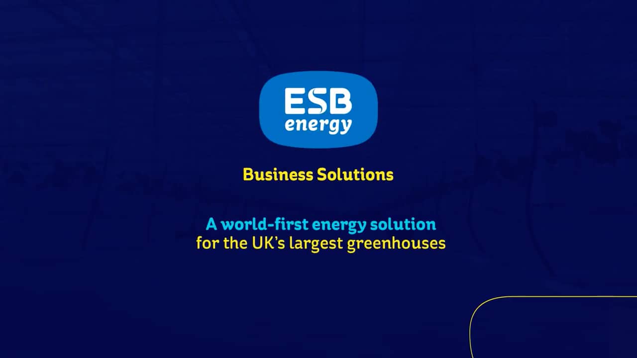 ESB Energy Business Solutions: Delivering a world first for ...