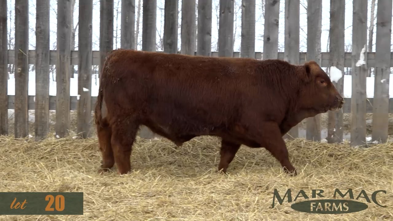 20_MarMac_2022.mp4 on Vimeo