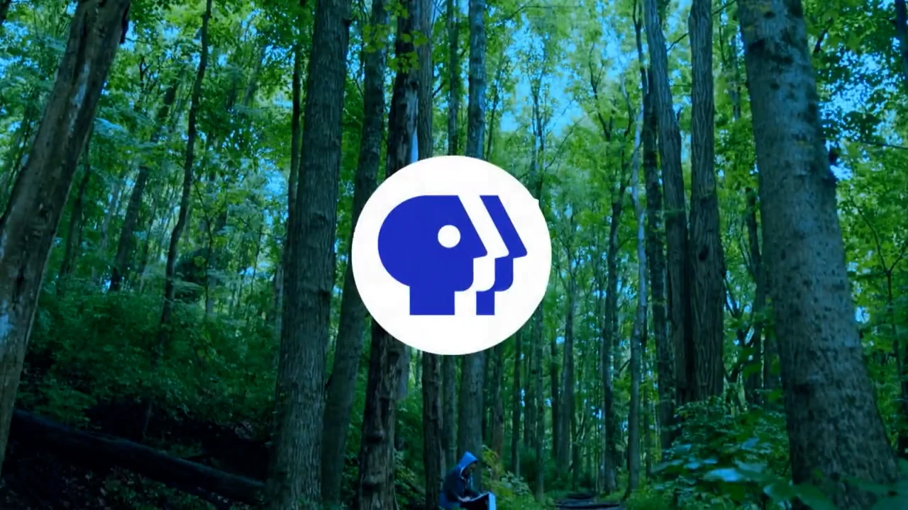 New PBS ID (2019) on Vimeo