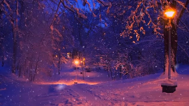 Night, Snow, Light. Free Stock Video - Pixabay