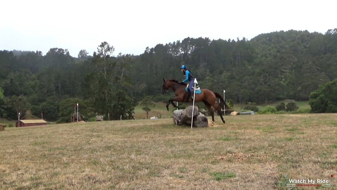 Claire Rapson riding Twenty Four Karat 476 CCN80 Springbush Horse Trial ...