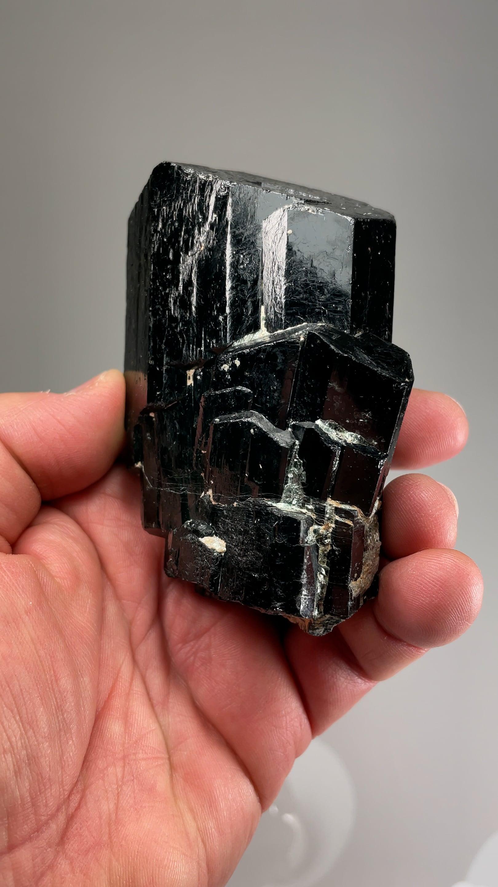 IMG_E9732.MOV on Vimeo