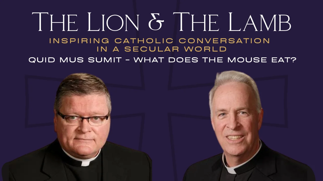 #2 Quid Mus Sumit - What Does the Mouse Eat? on Vimeo