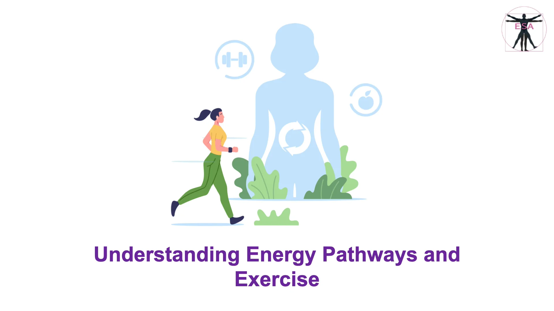 Energy Pathways and Exercise on Vimeo