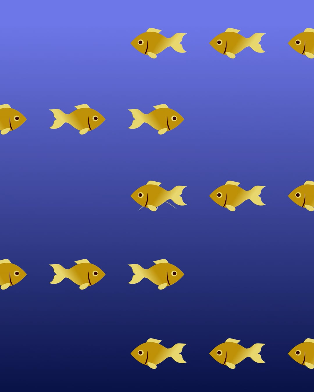 Shark Food! on Vimeo