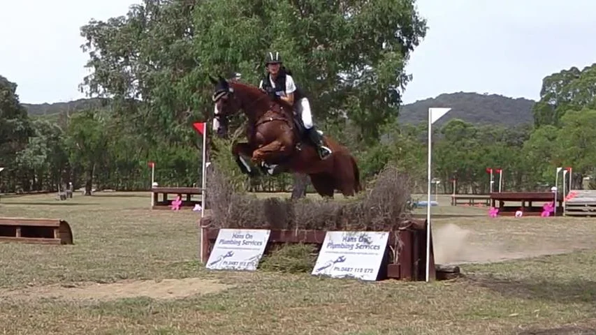 Andy Freeman riding Apple Jack 184 Grade 3 Seville Pony Club Horse ...