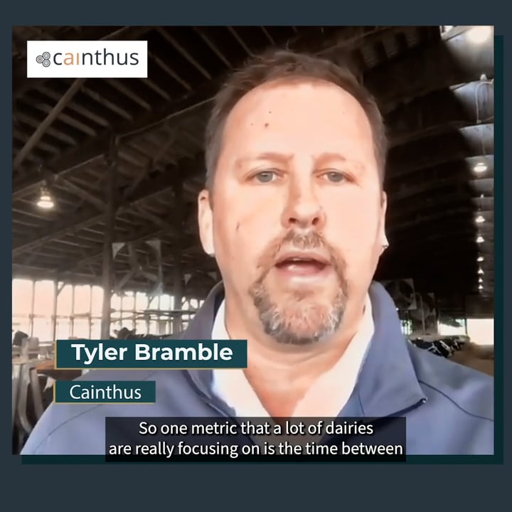 CAINTHUS Feeding operations TS 2 on Vimeo