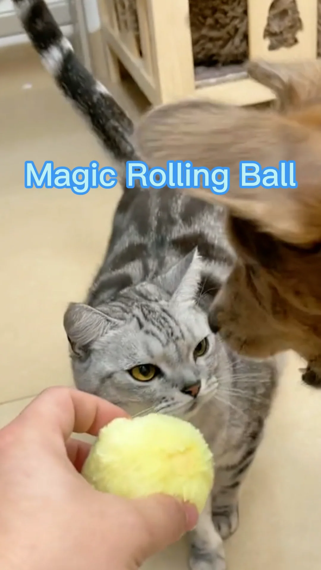 Magic Rolling Ball on Vimeo