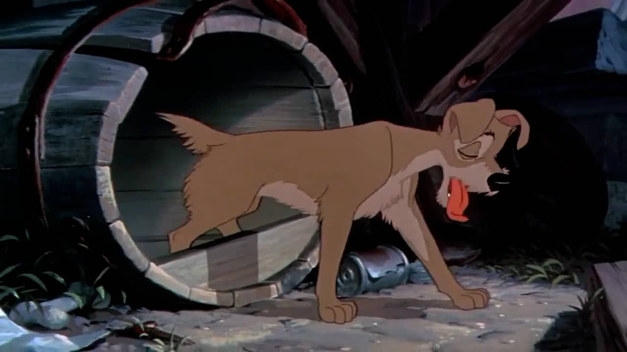 Tramp's Morning - Lady and the Tramp (HD) on Vimeo