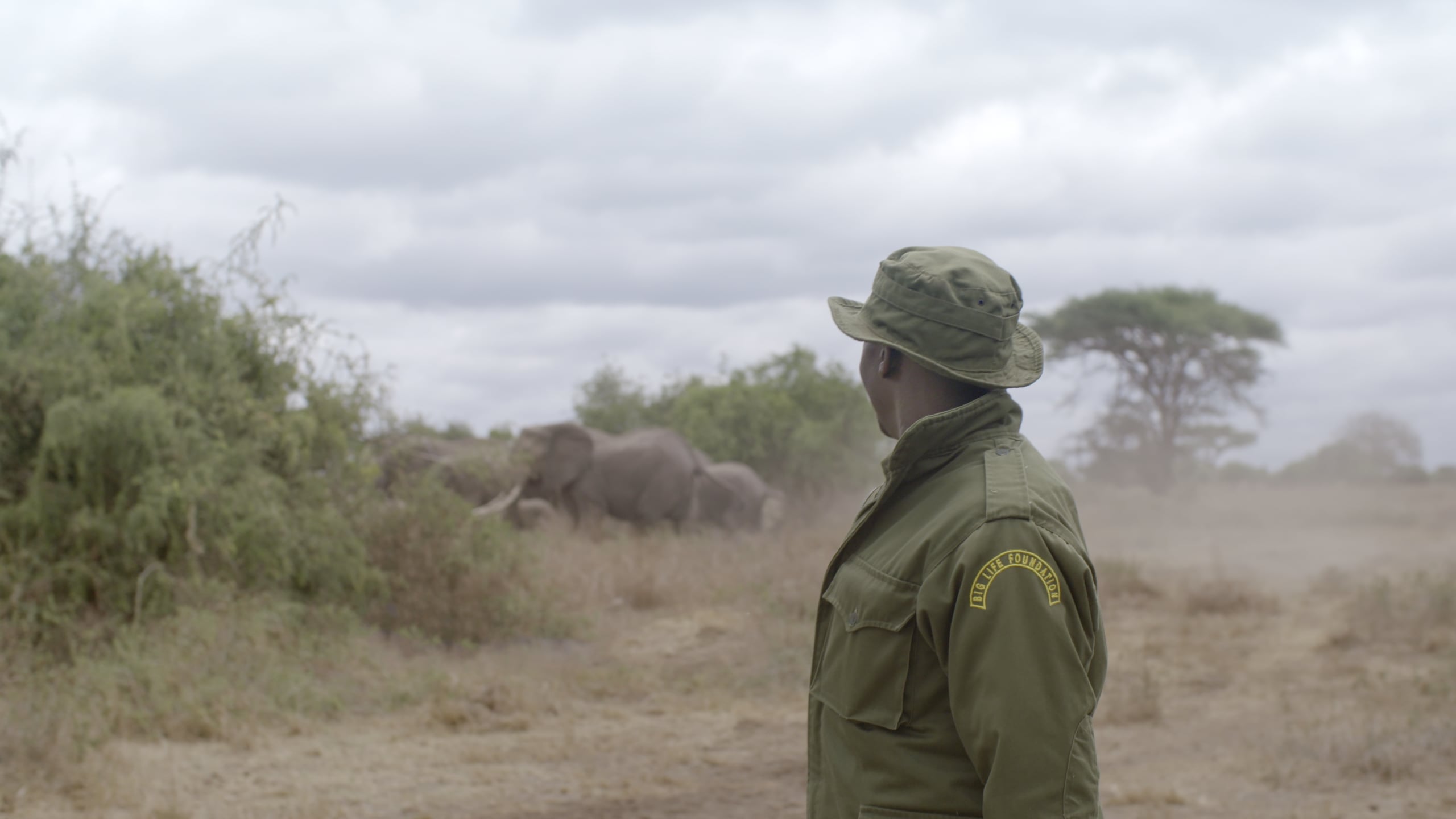 The Battle Against Poaching on Vimeo
