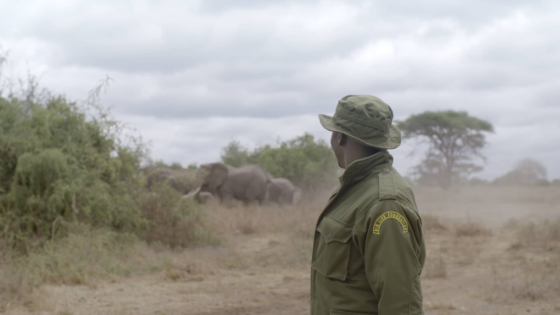 The Battle Against Poaching on Vimeo