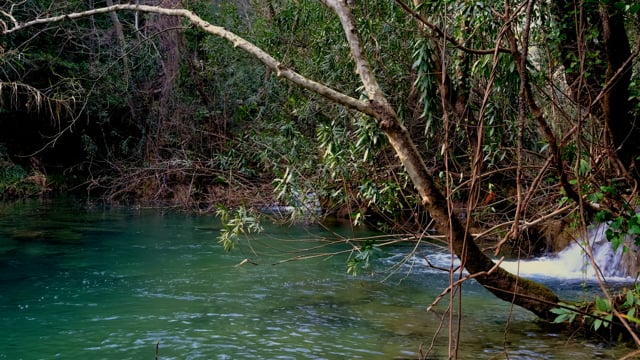 Cascada Río Meta - Free video on Pixabay - Pixabay