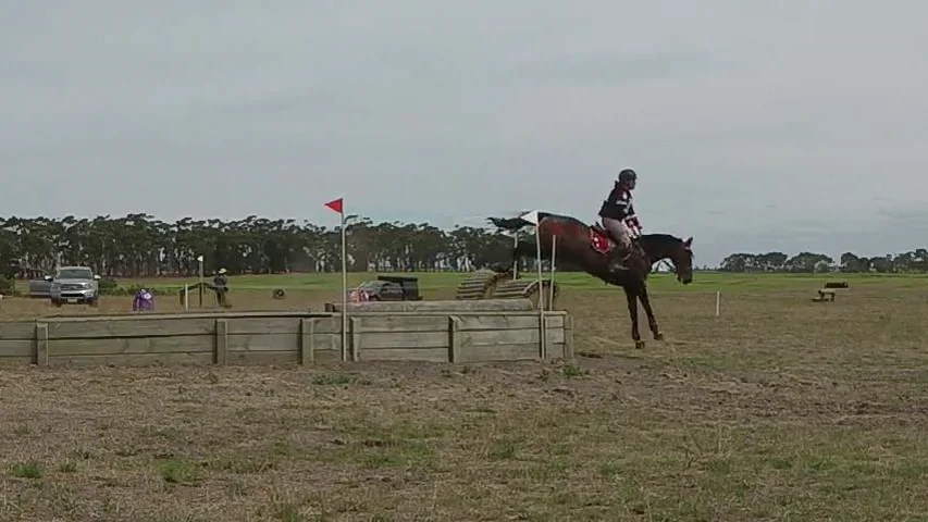 Taleah Cameron riding EQUINEAFFAIR BLACK JACK 38 CCN1 Geelong Horse ...