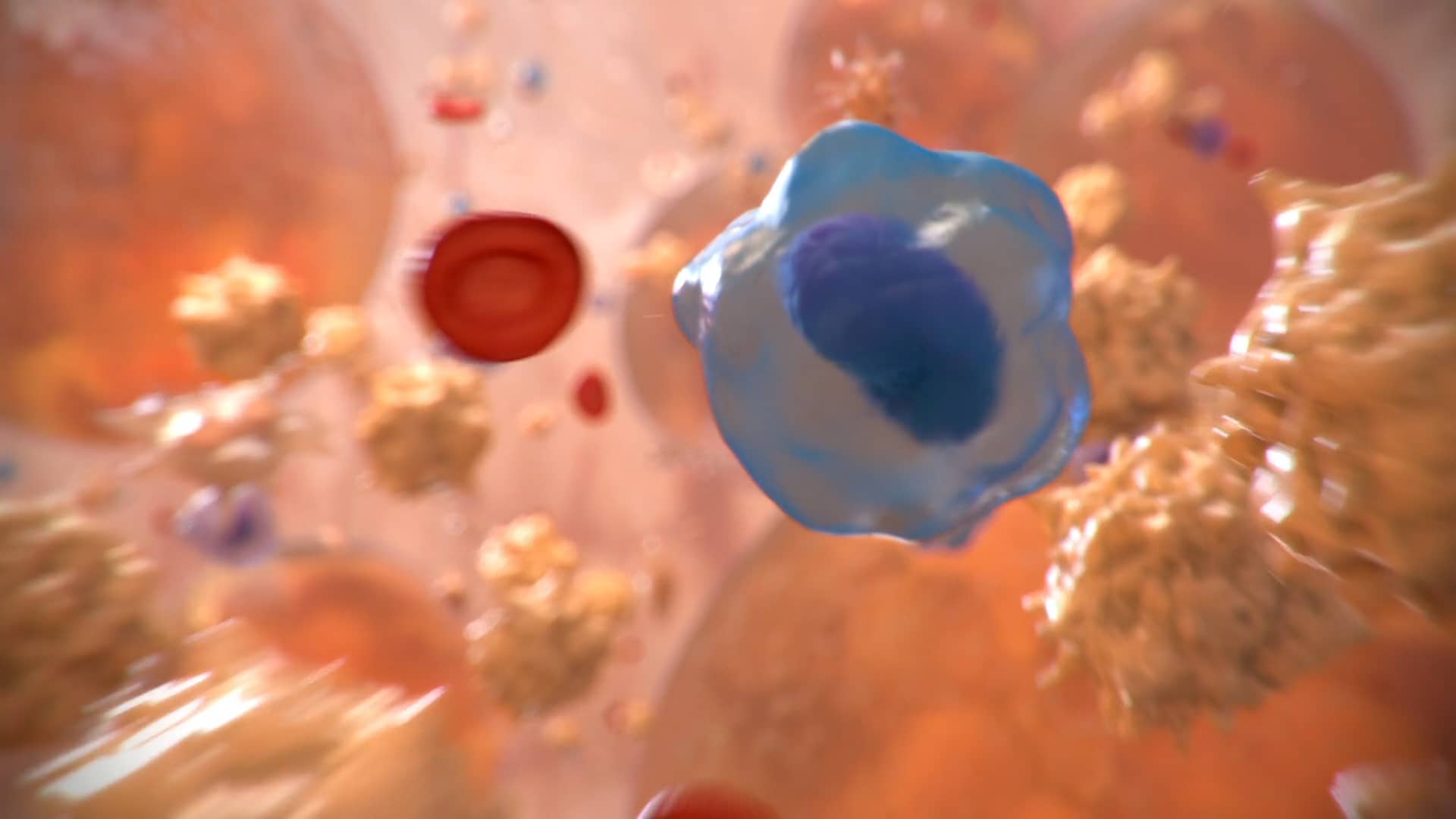Thrombopoiesis - creation of red blood cells on Vimeo