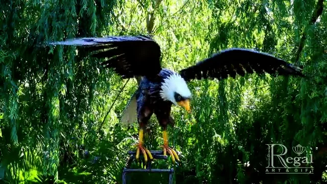 12960 Rocker Eagle 2022.mp4