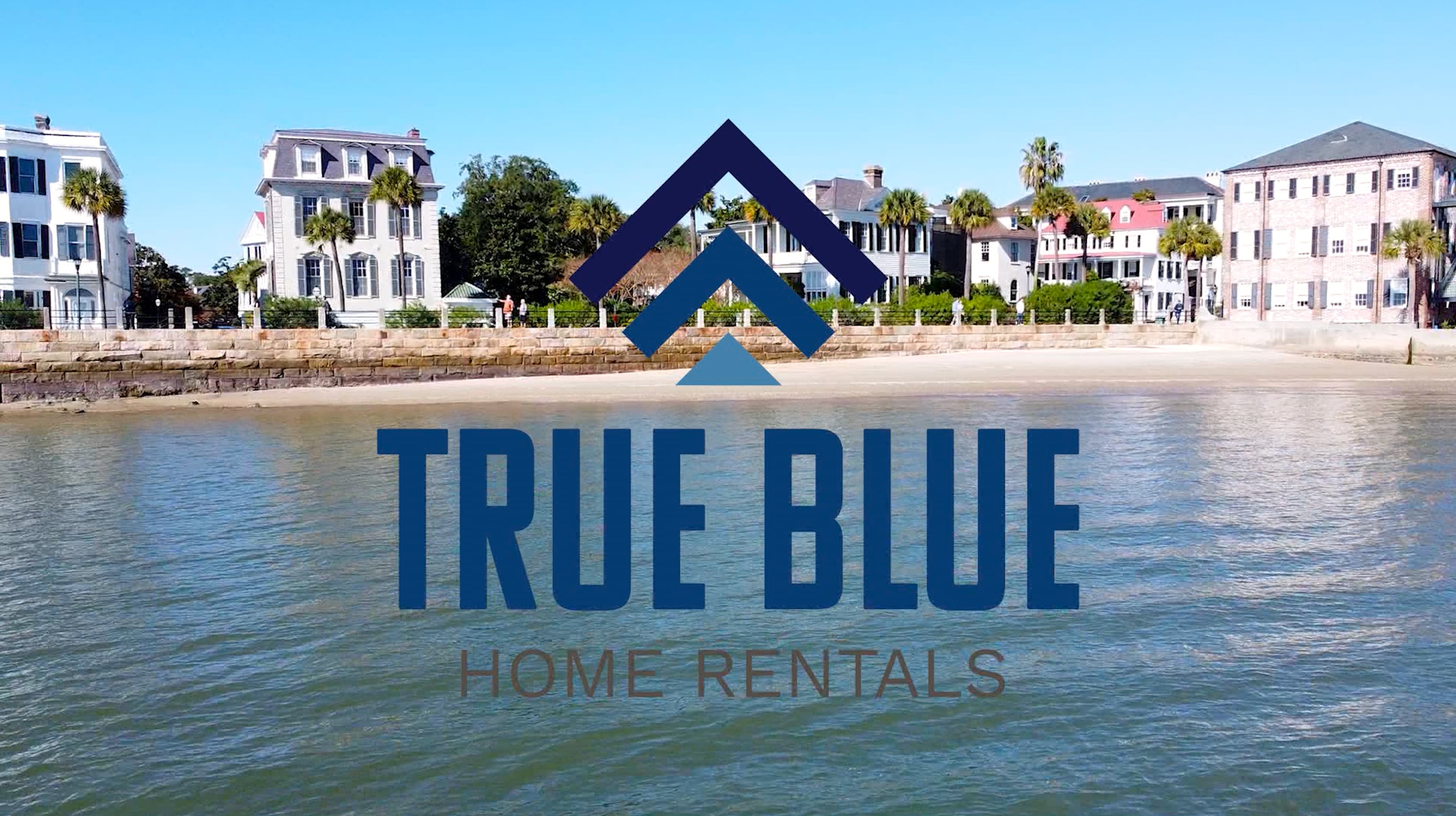 Meet The Team - True Blue.mp4 on Vimeo