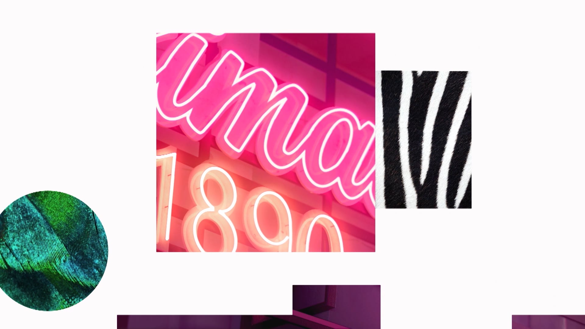 HGTV IDENT SEQUENCE_UNDER 120 on Vimeo