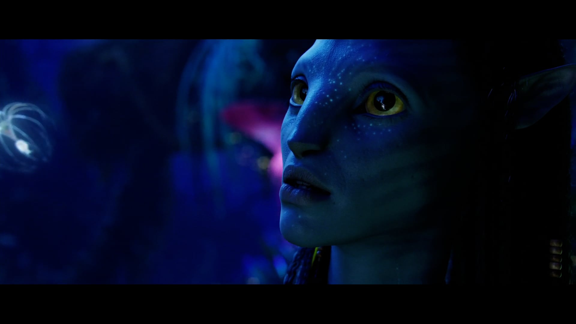 Avatar International Teaser on Vimeo