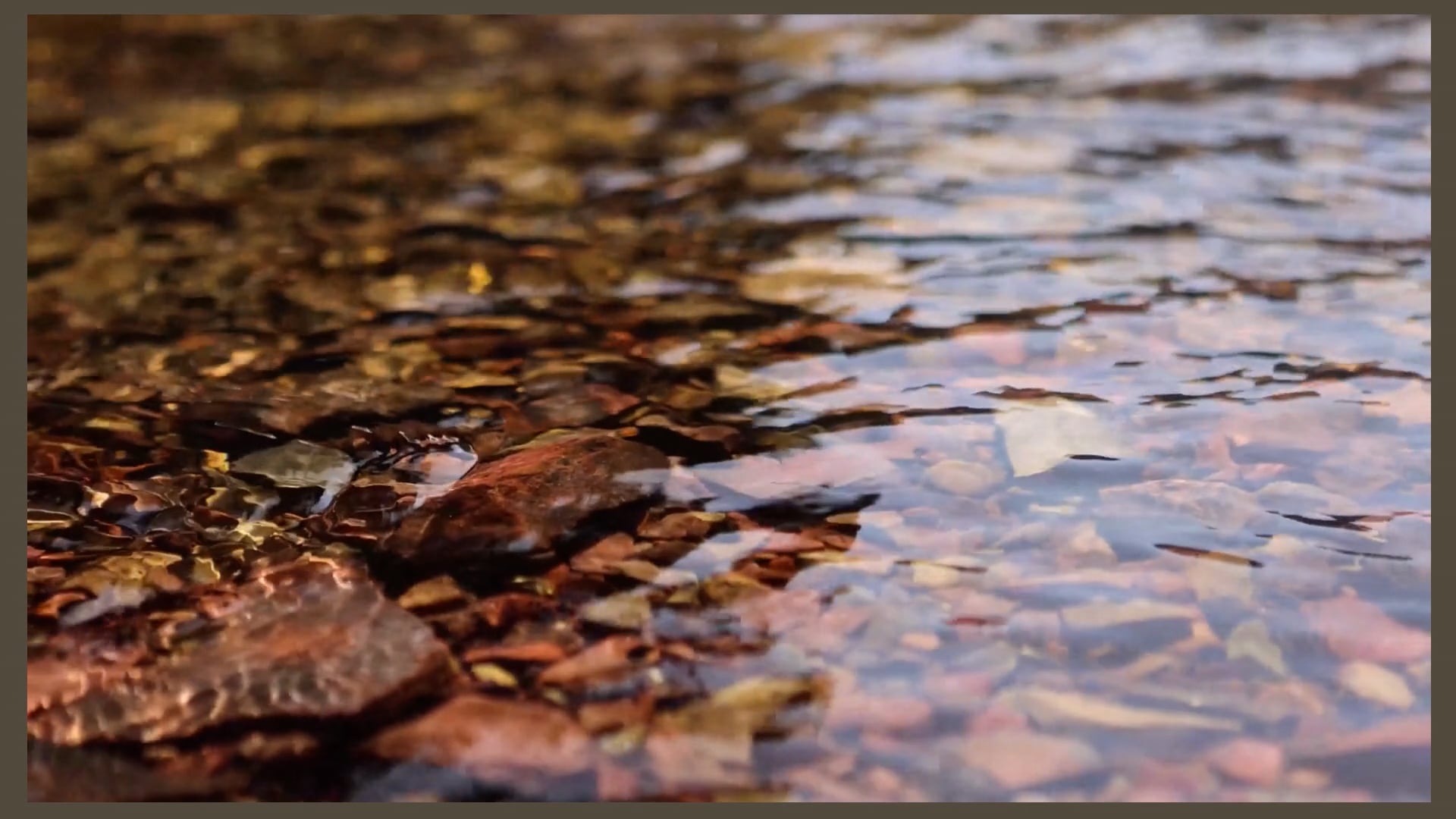 Rates | Platte River Campground