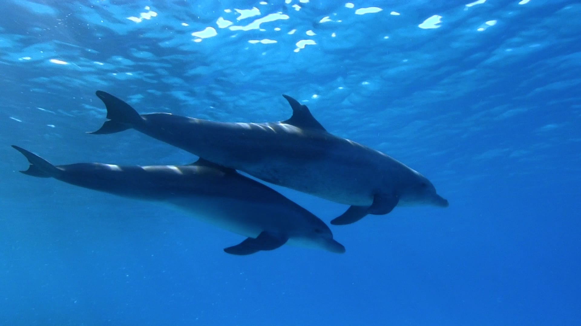 Jen Bowers v4 2_5 1 on Vimeo