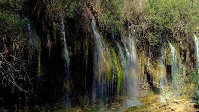 Fall Backgrounds Videos: Download 90+ Free 4K & HD Stock Footage Clips ...