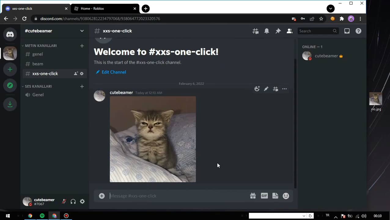 PROOF ! ONE CLICK_IMAGE LOGGER ROBLOX (2022) STILL WORKING!!.mp4 on Vimeo