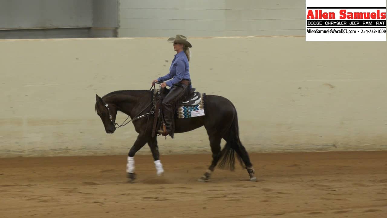 RS 11 285 Startlingly Spangled Lisa Doering on Vimeo