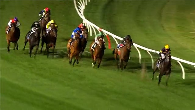 Power - Stallion | Breednet