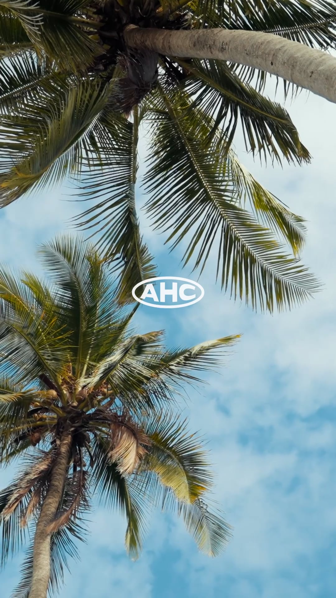 AIM_TREE_1.mp4 on Vimeo