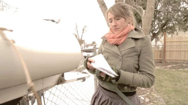The Life and Times of the Noisy Plume