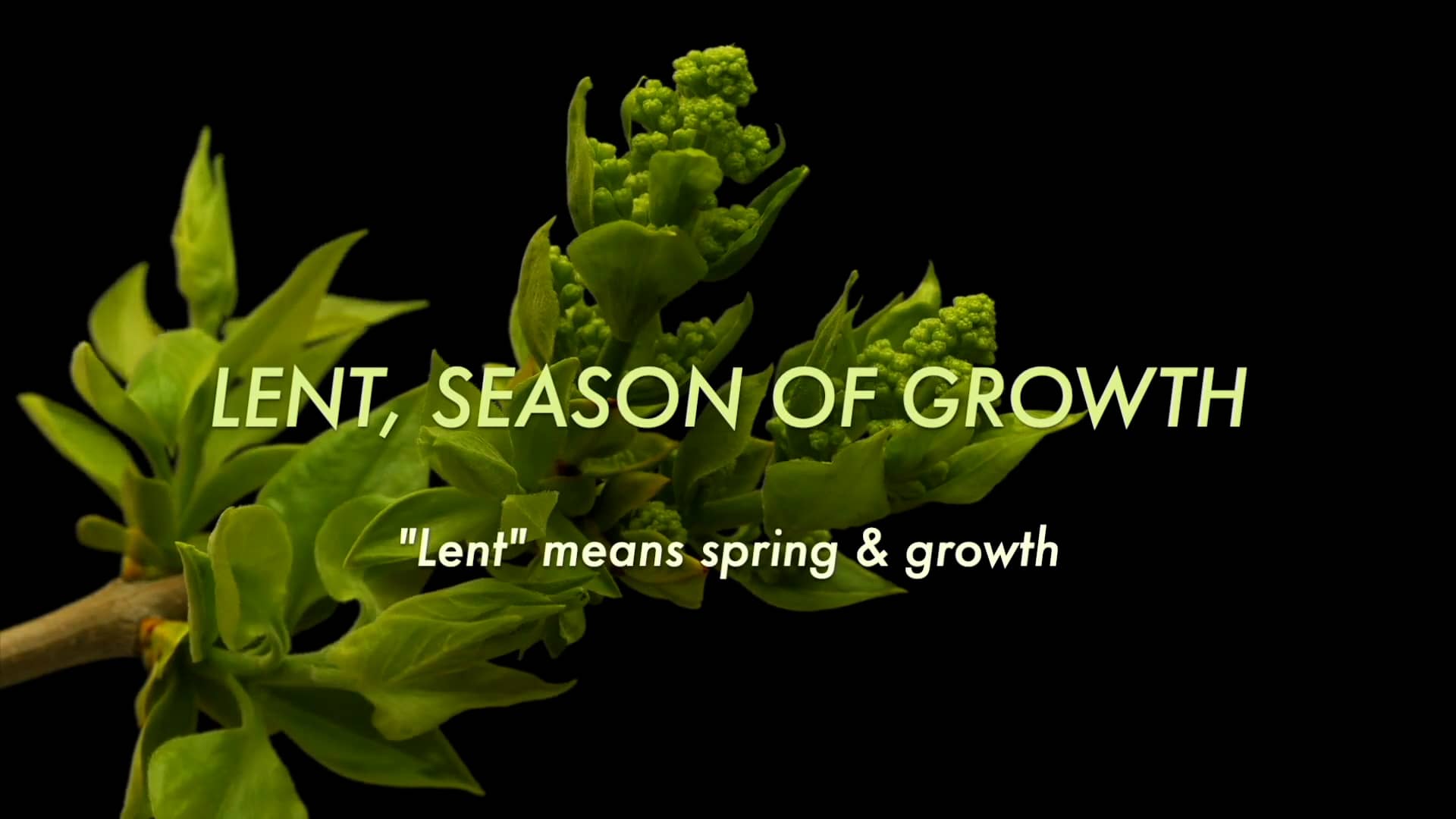 How can we find ways to grow this Lent? on Vimeo