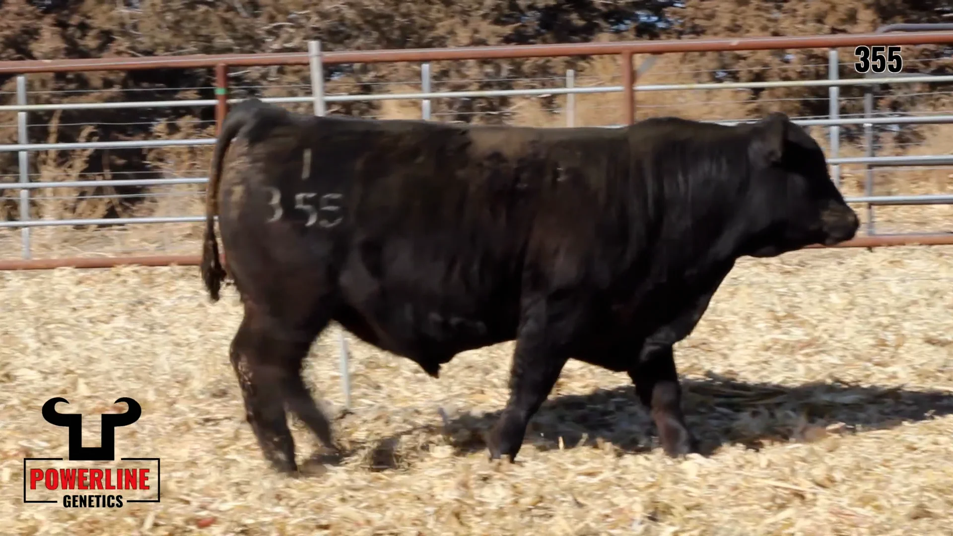 Powerline Genetics 21-355.m4v