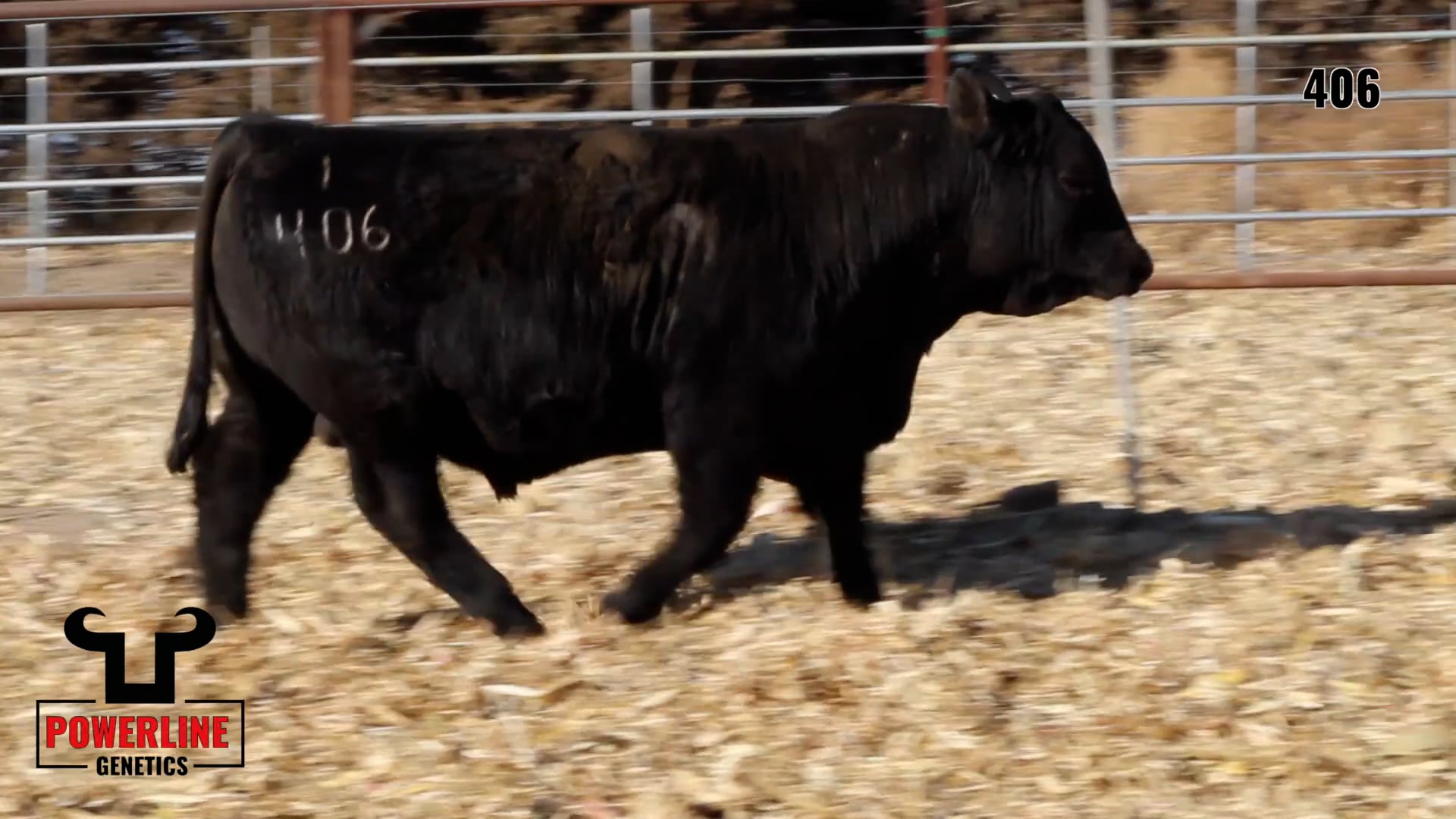406.m4v on Vimeo