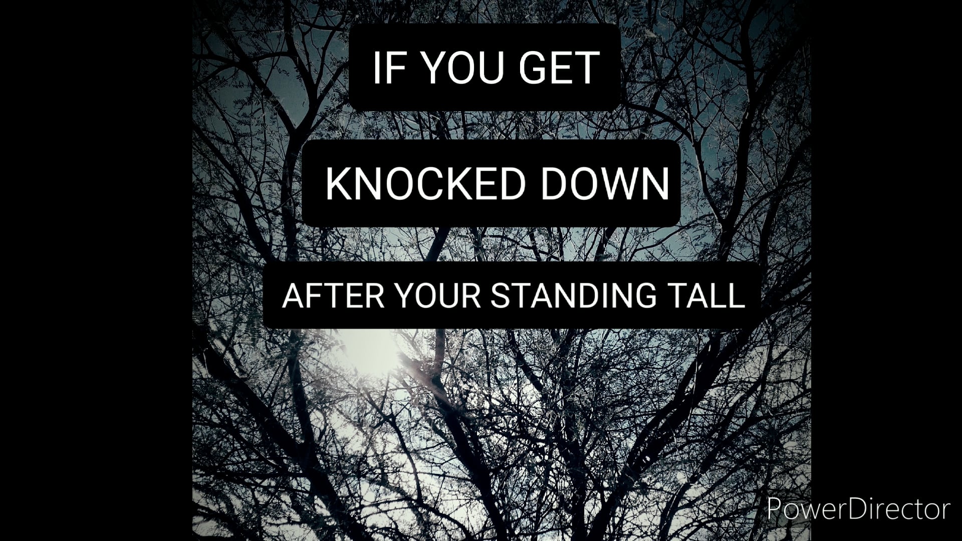 Mercedezlucke-benedict