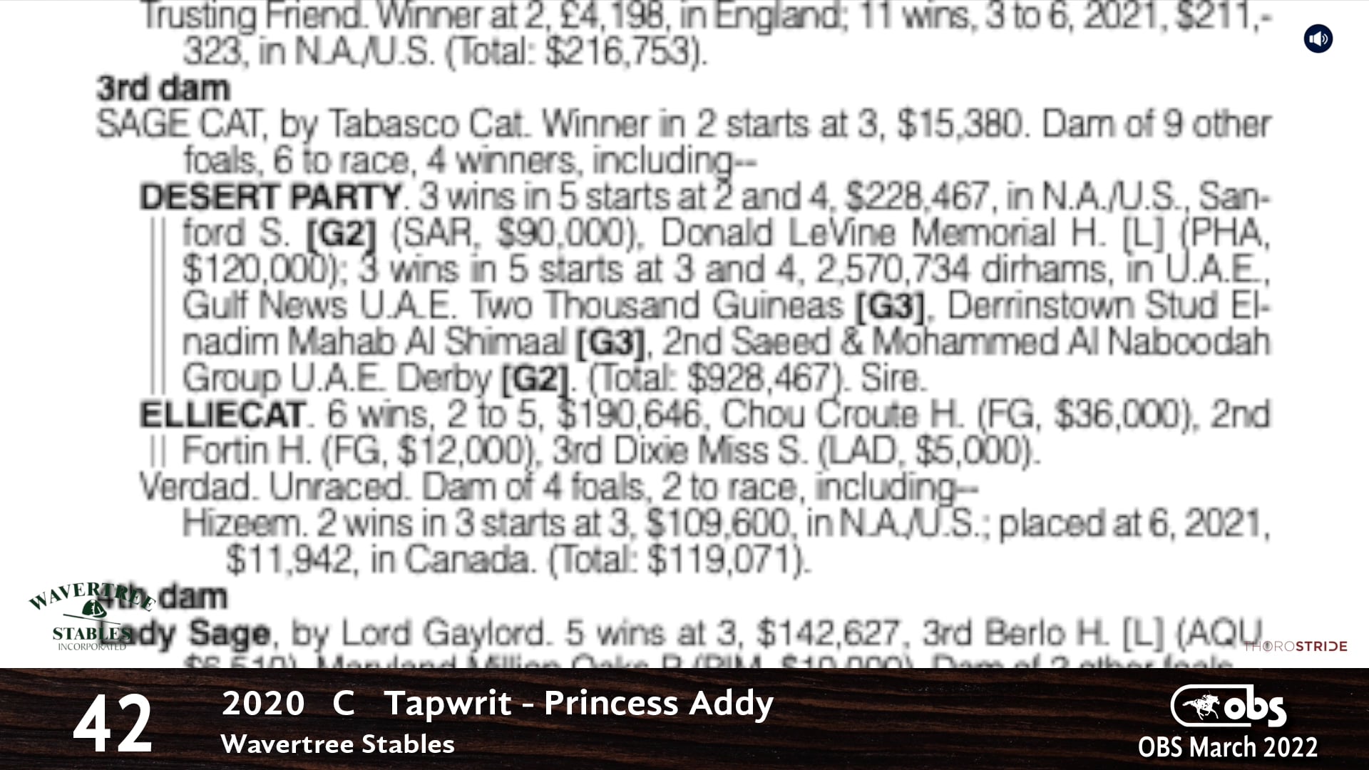 OBSMAR22_42_Princess Addy 20 on Vimeo