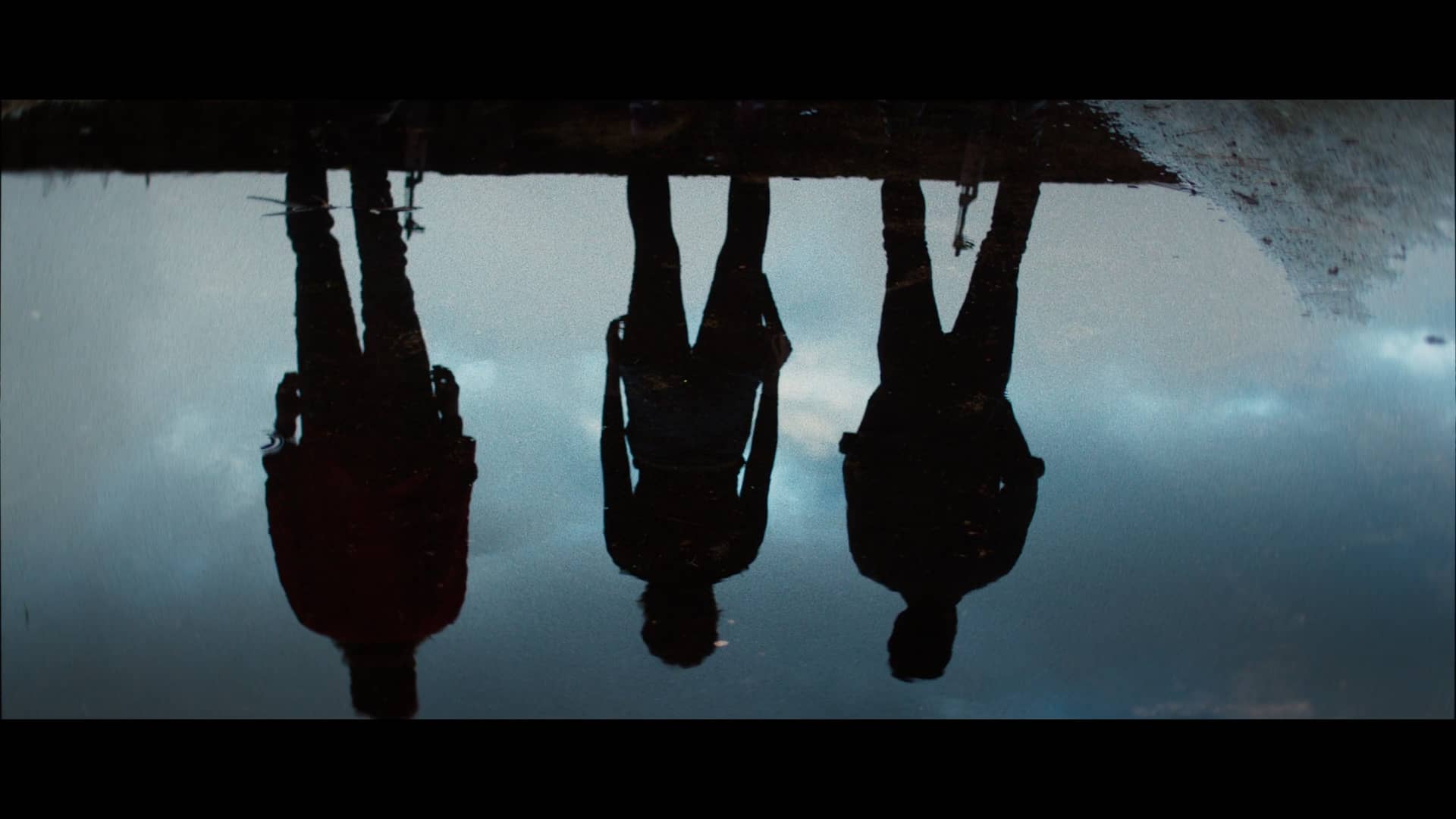 Furtivo / Furtive (2022 - Trailer) on Vimeo