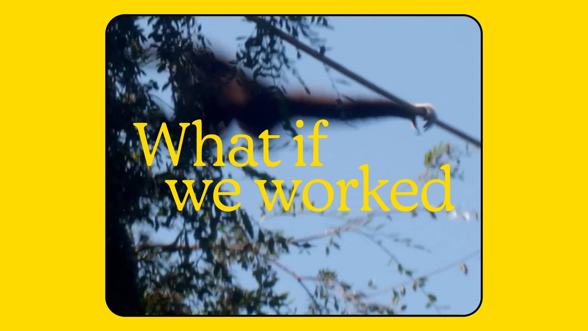 Call Paul Season 2 - Teaser :15 on Vimeo