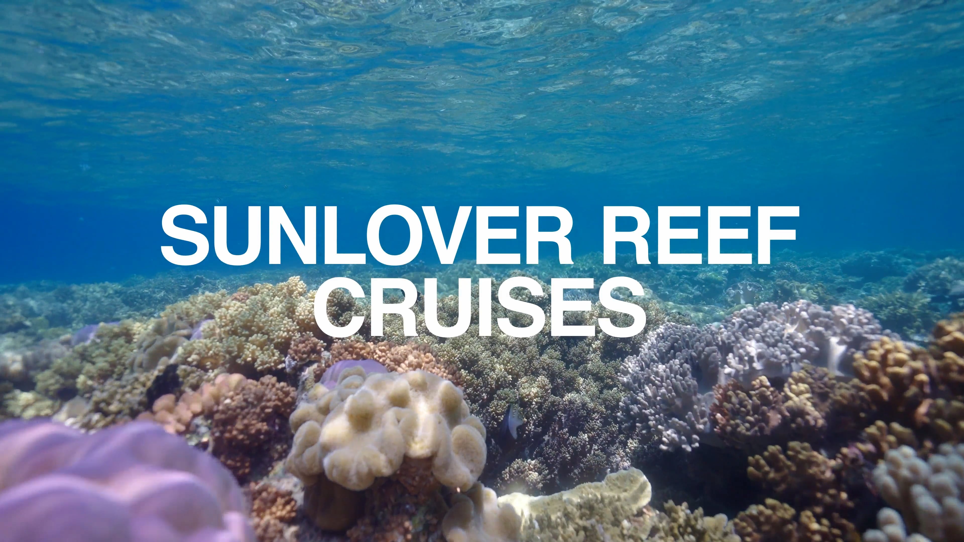 Tourism Australia - Sunlover Reef Cruises on Vimeo
