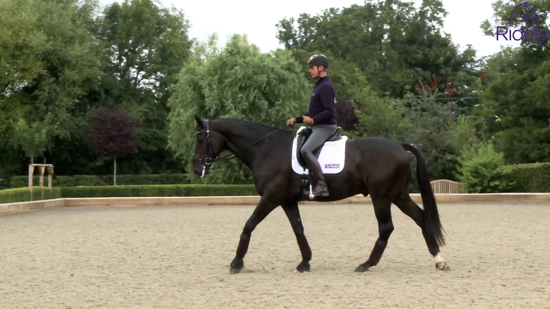 The Position in the Saddle | Ridely