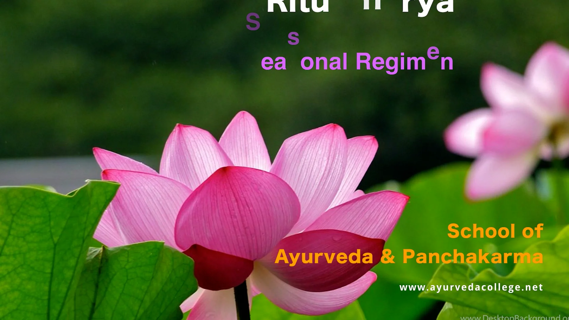 RITU CHARYA_1 on Vimeo