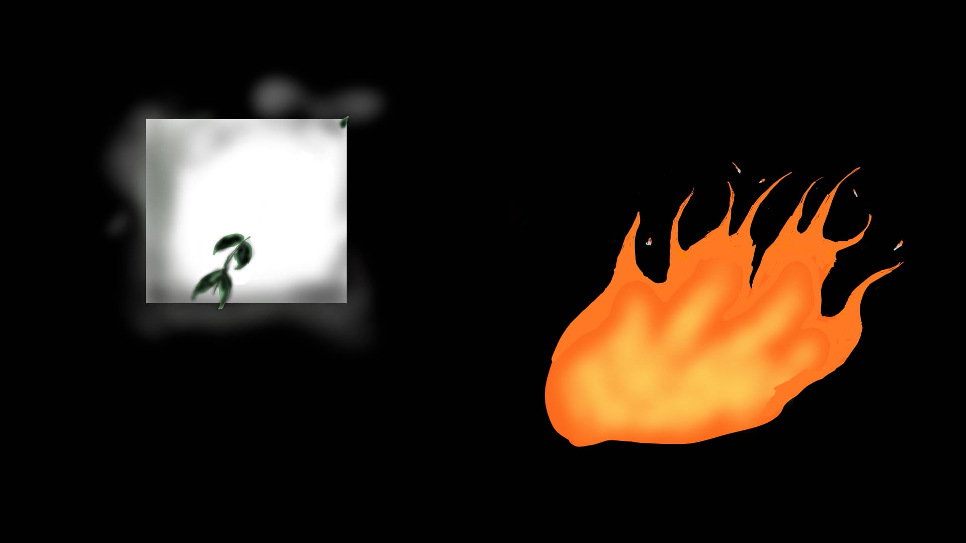 regrow by katie ly on Vimeo