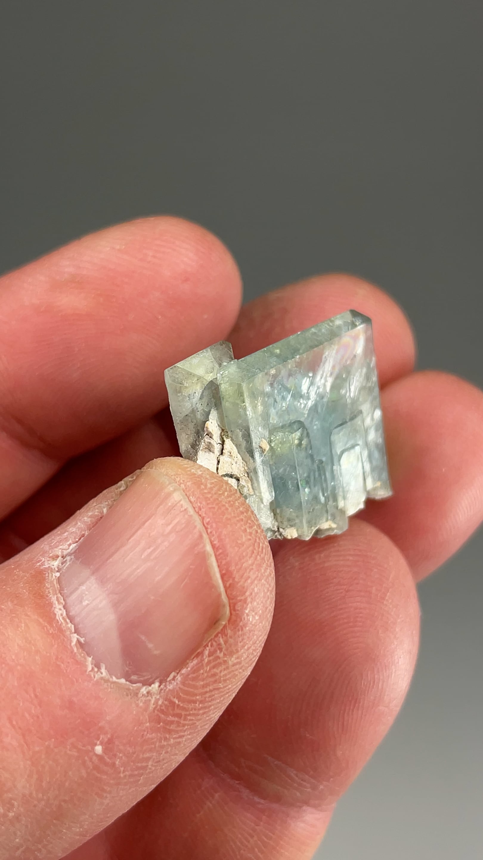 IMG_E0466.MOV on Vimeo