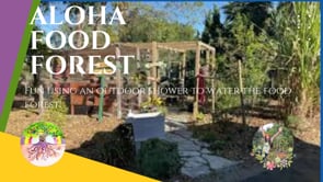 Aloha Farms Food Forest on Tumblr