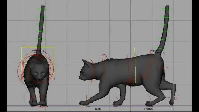 Cat walk-cycle animation on Vimeo