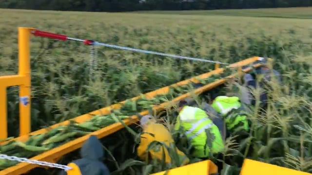 Harvest Products Inc.