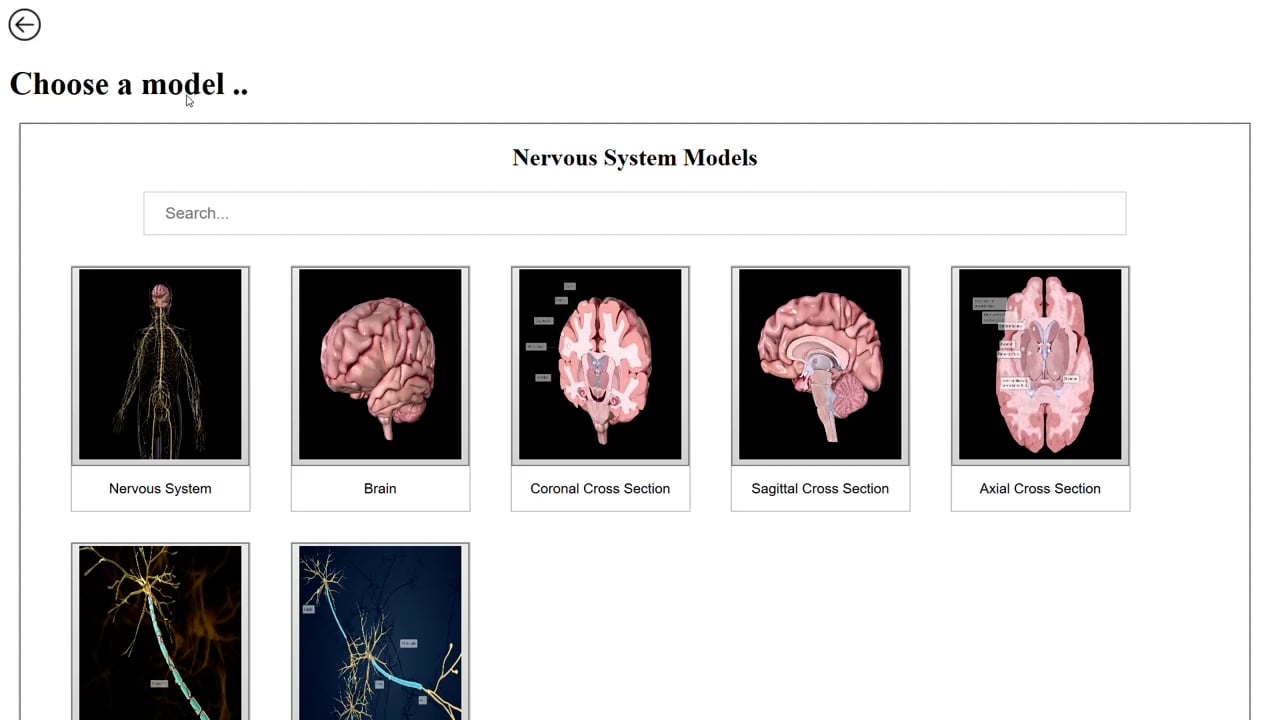 Brain.mp4 on Vimeo