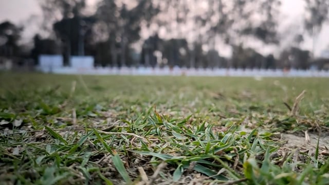 Field Fields Ground Free Stock Video - Pixabay