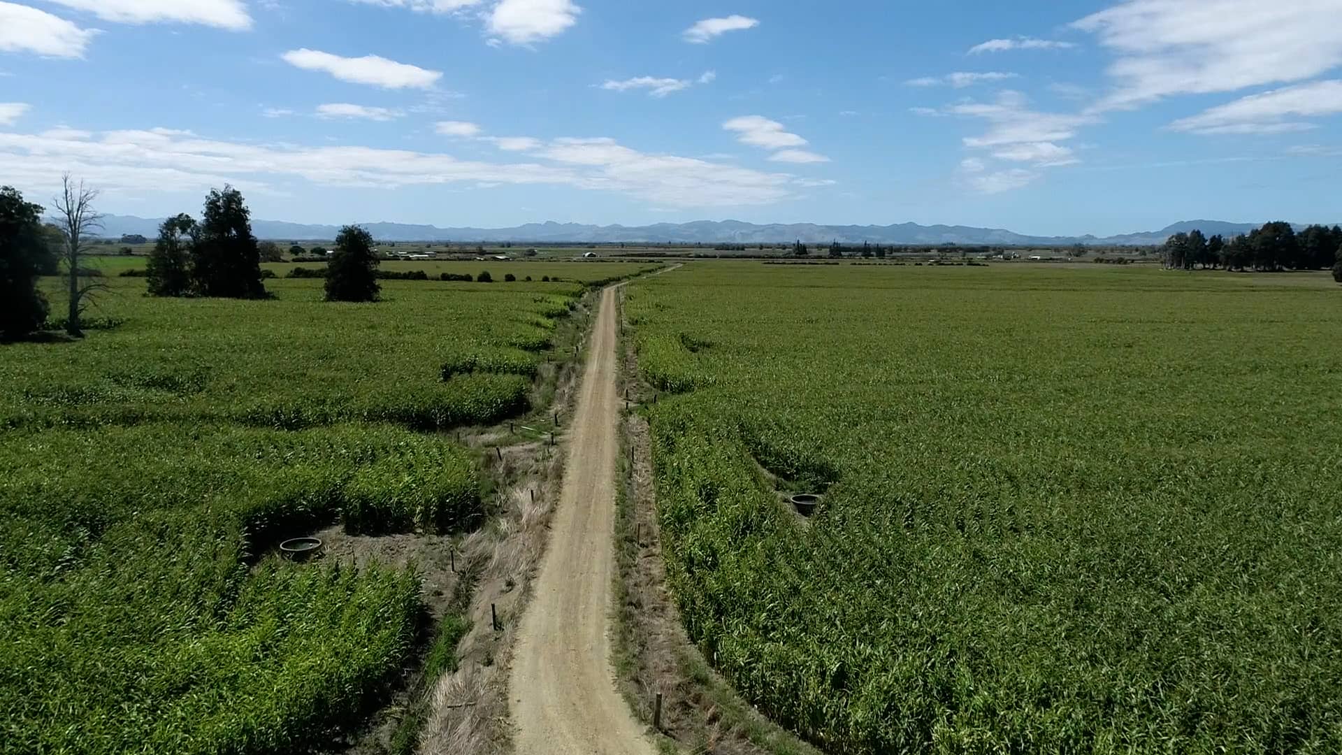 349 Top Road, Patetonga on Vimeo