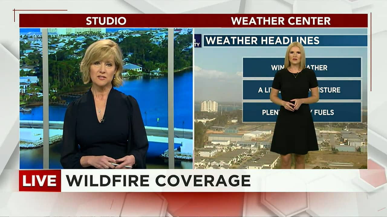 Nikki Sheaks, 3pm update, Fires March 6 on Vimeo